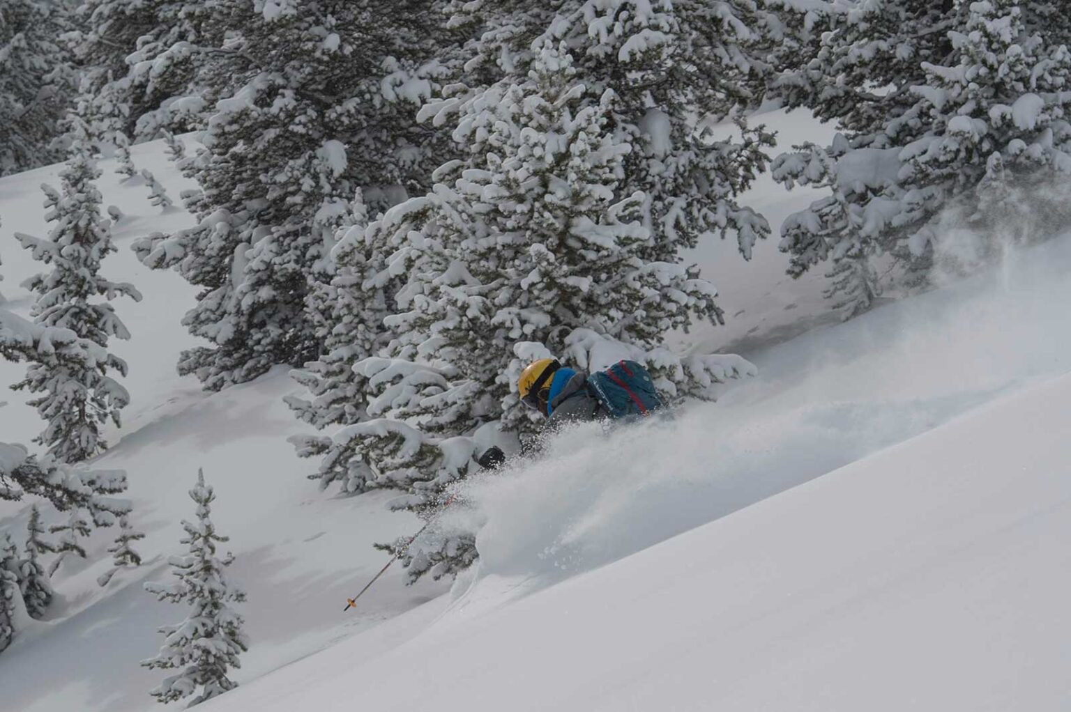 Vail Powder Guides - Vail's Premier Cat Skiing Guides