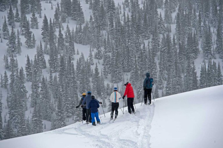 Vail Powder Guides - Vail's Premier Cat Skiing Guides